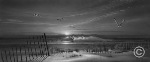 Stephen Muldoon Art for Sale | Ocean Blue Galleries Key West